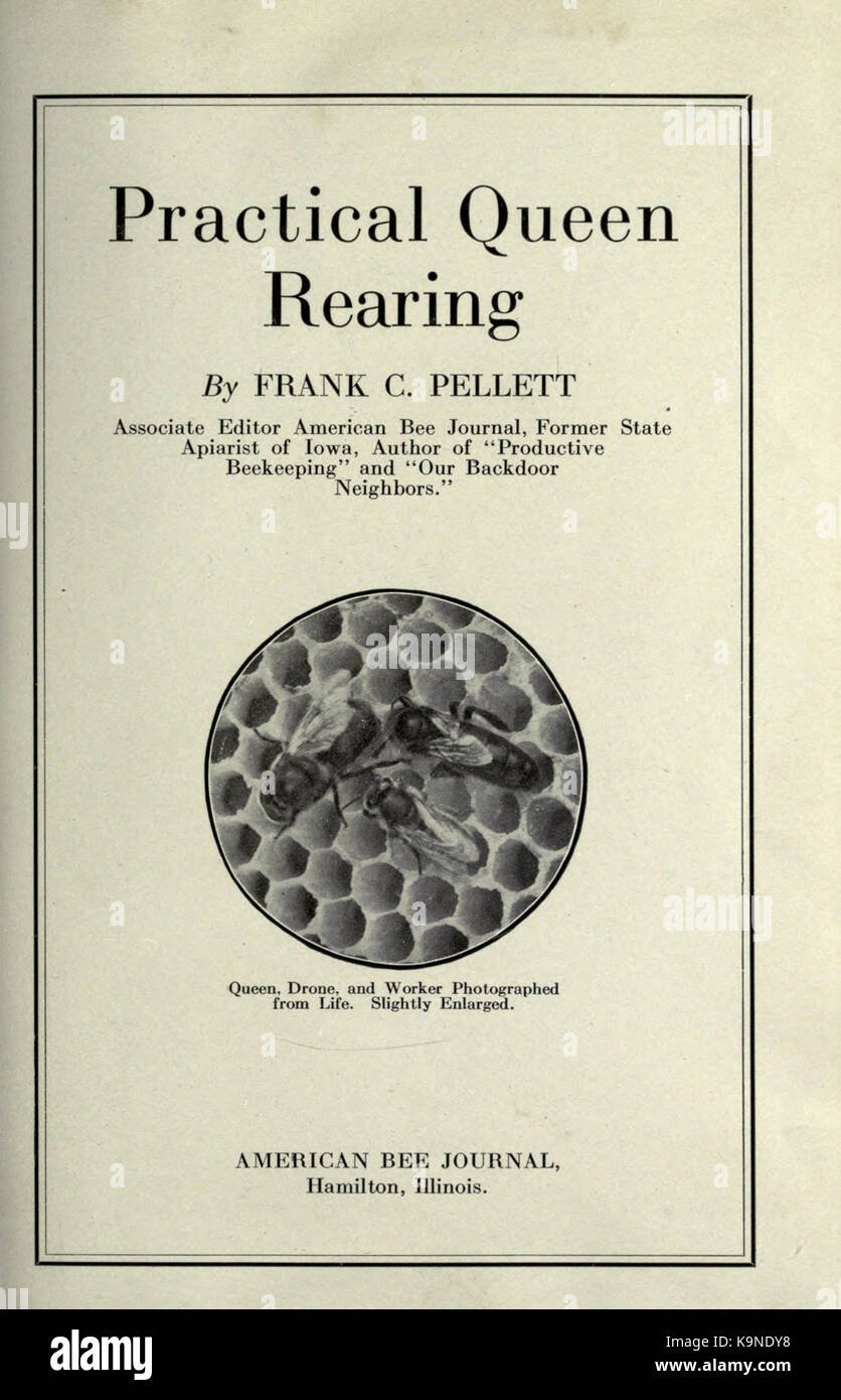 Practical queen rearing BHL23224647 Stock Photo - Alamy