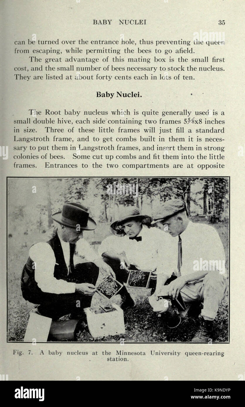 Practical queen rearing (Page 35) BHL23224619 Stock Photo - Alamy