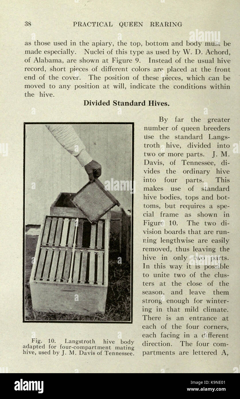 Queen rearing methods hi-res stock photography and images - Alamy