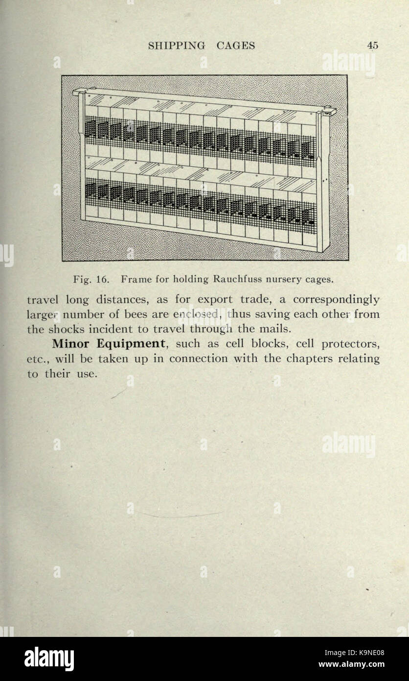 Practical queen rearing (Page 45) BHL23224629 Stock Photo - Alamy