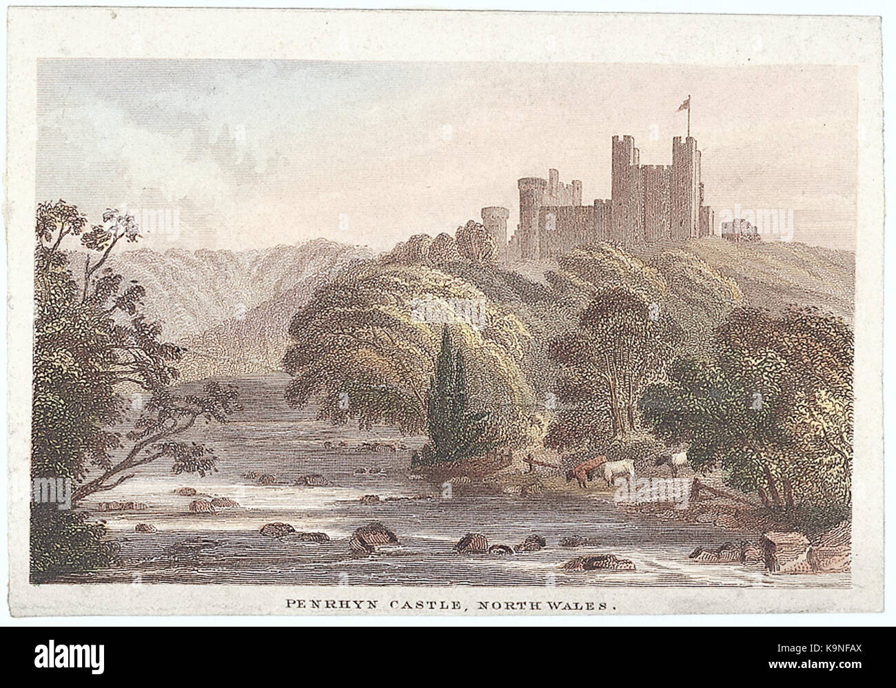 Penrhyn castle, north wales hi-res stock photography and images - Alamy