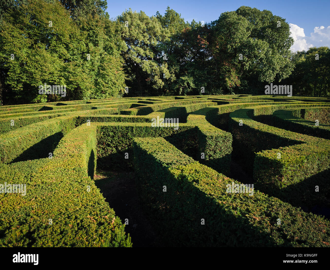Labyrinth Maze of Neat Cut Green Bushes Stock Photo - Alamy