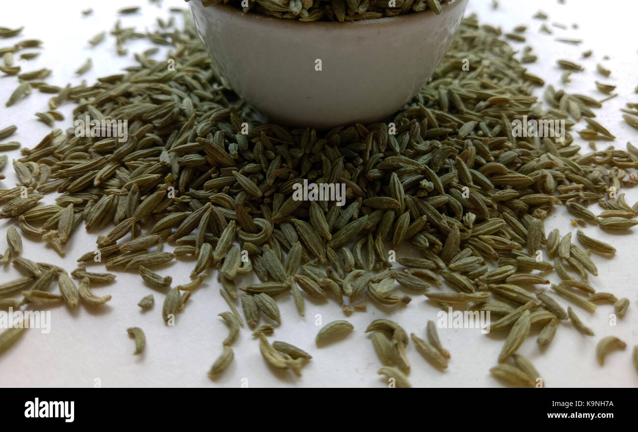 Aniseed plant hi-res stock photography and images - Alamy