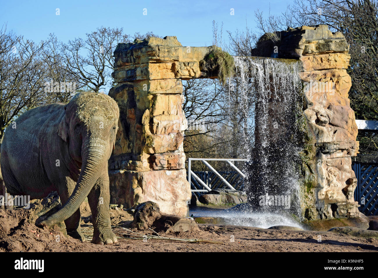 Elephant Waterfall High Resolution Stock Photography and Images - Alamy