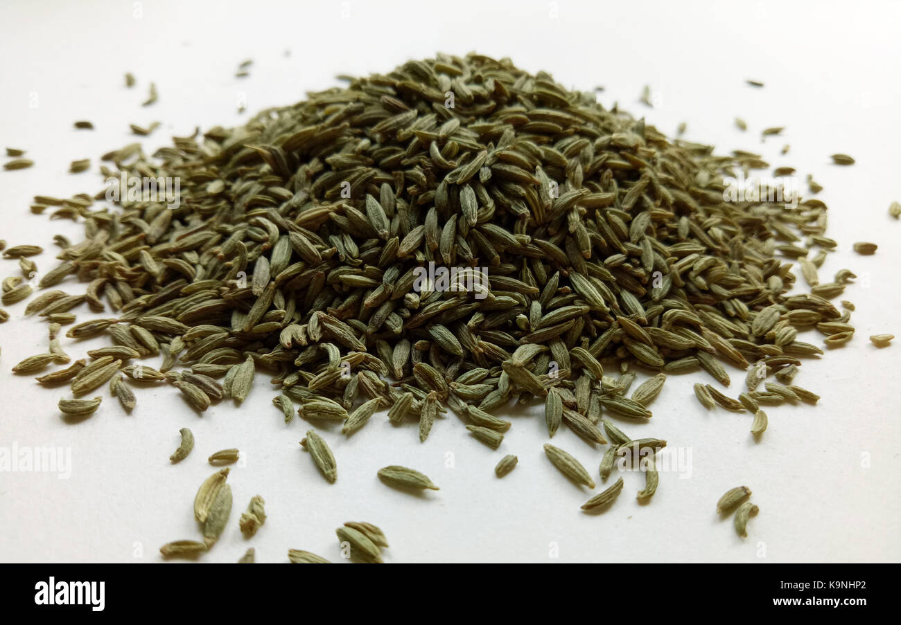 Aniseed plant hi-res stock photography and images - Alamy