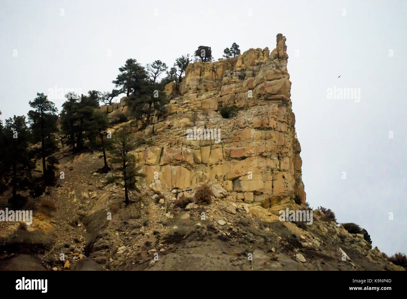 A steep rocky cliff with trees scattered through out Stock Photo - Alamy