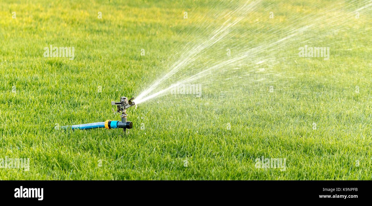 A close-up of a horizontal oscillating sprinkler for lawns that pours a ...