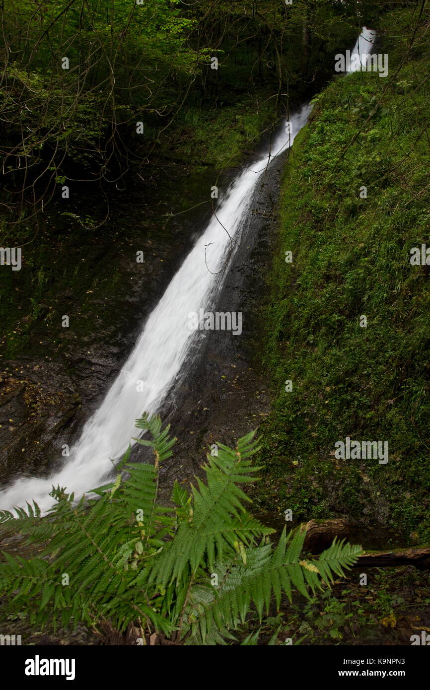 Whitelady Waterfall River Lyd Lydford Gorge Lydford Devon England Stock ...
