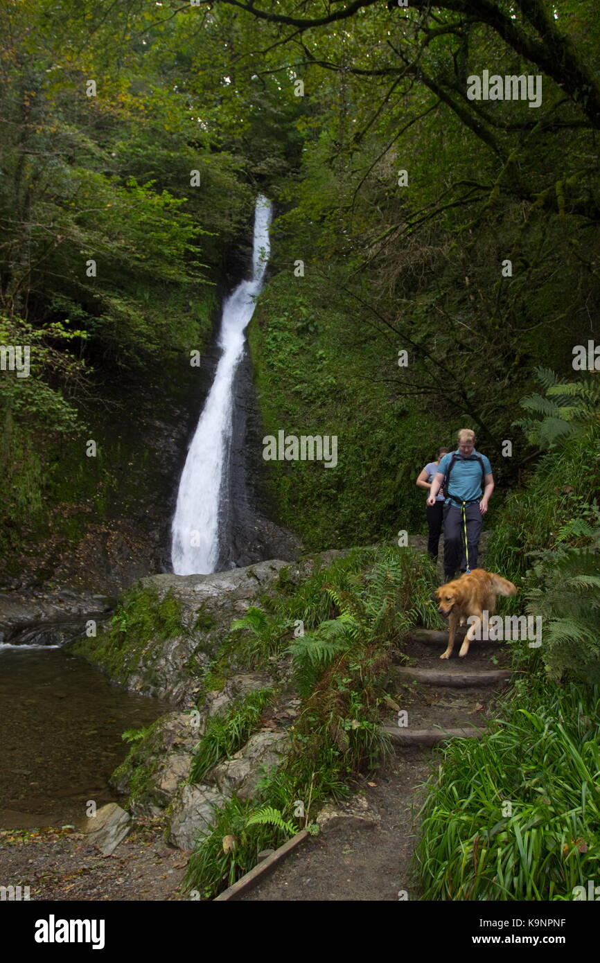 Walkers with a dog at Whitelady Waterfall River Lyd Lydford Gorge ...