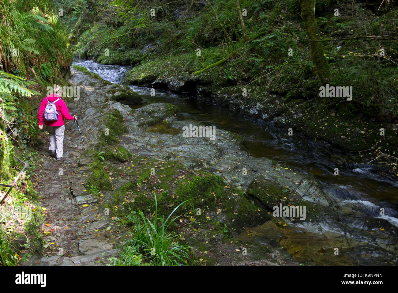Female in red walking through the gorge River Lyd Lydford Gorge Lydford ...