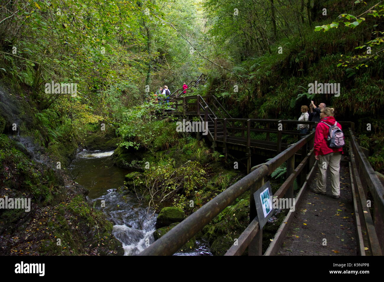 River Lyd Lydford Gorge Lydford Devon England Stock Photo - Alamy