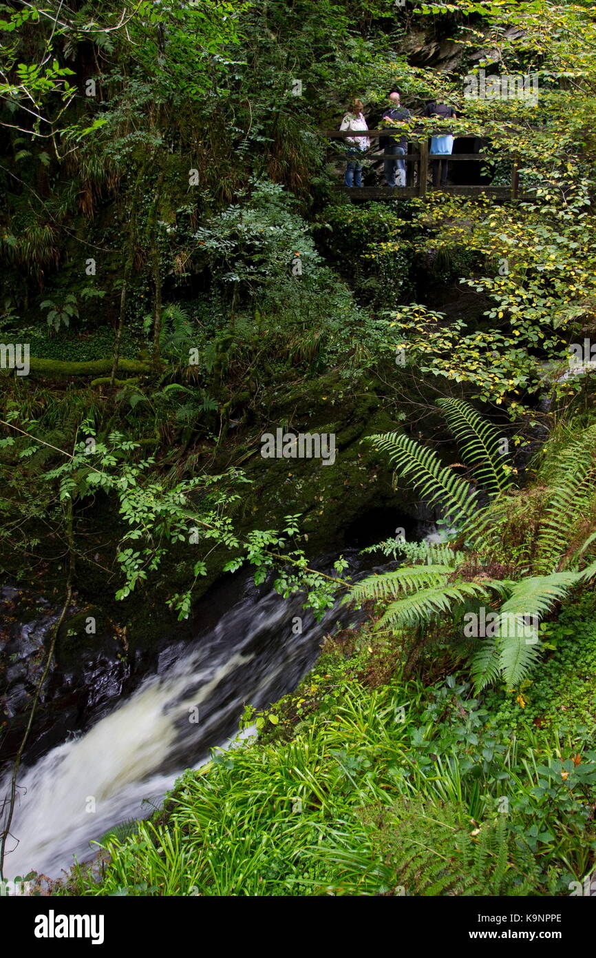 River Lyd Lydford Gorge Lydford Devon England Stock Photo - Alamy