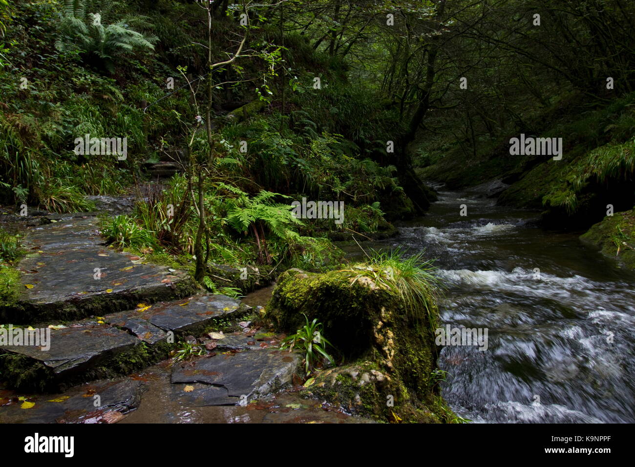 River Lyd Lydford Gorge Lydford Devon England Stock Photo - Alamy