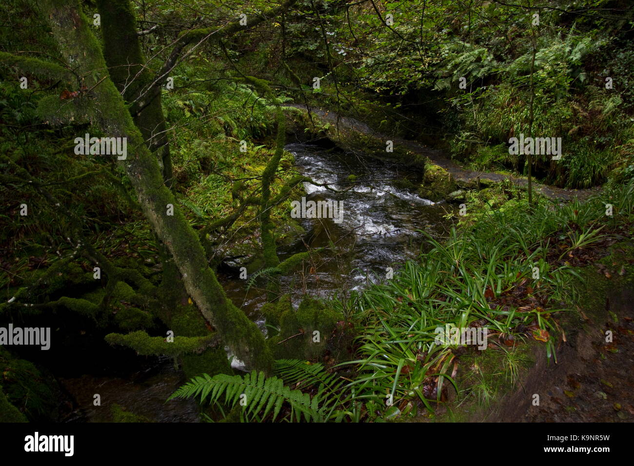 River lyd hi-res stock photography and images - Alamy