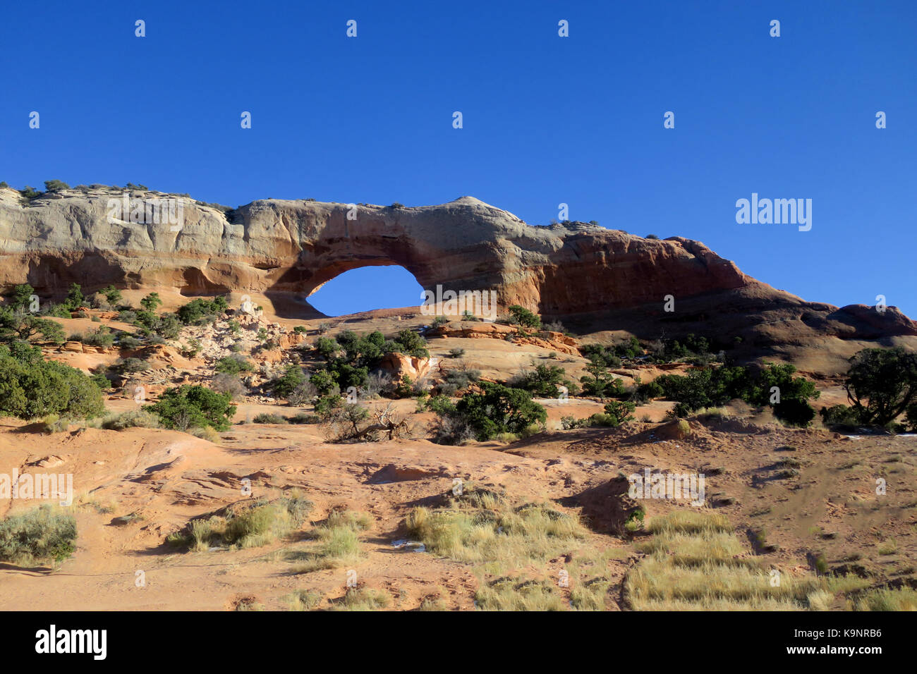 Wilsons arch hi-res stock photography and images - Alamy