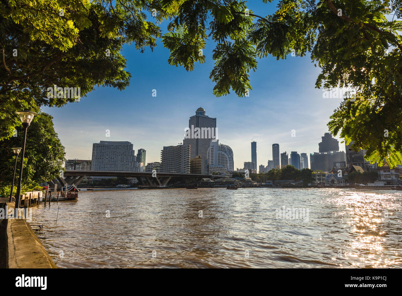 Bangkok, Thailand - 14 September 2017 - Tree branches and leaves frame ...