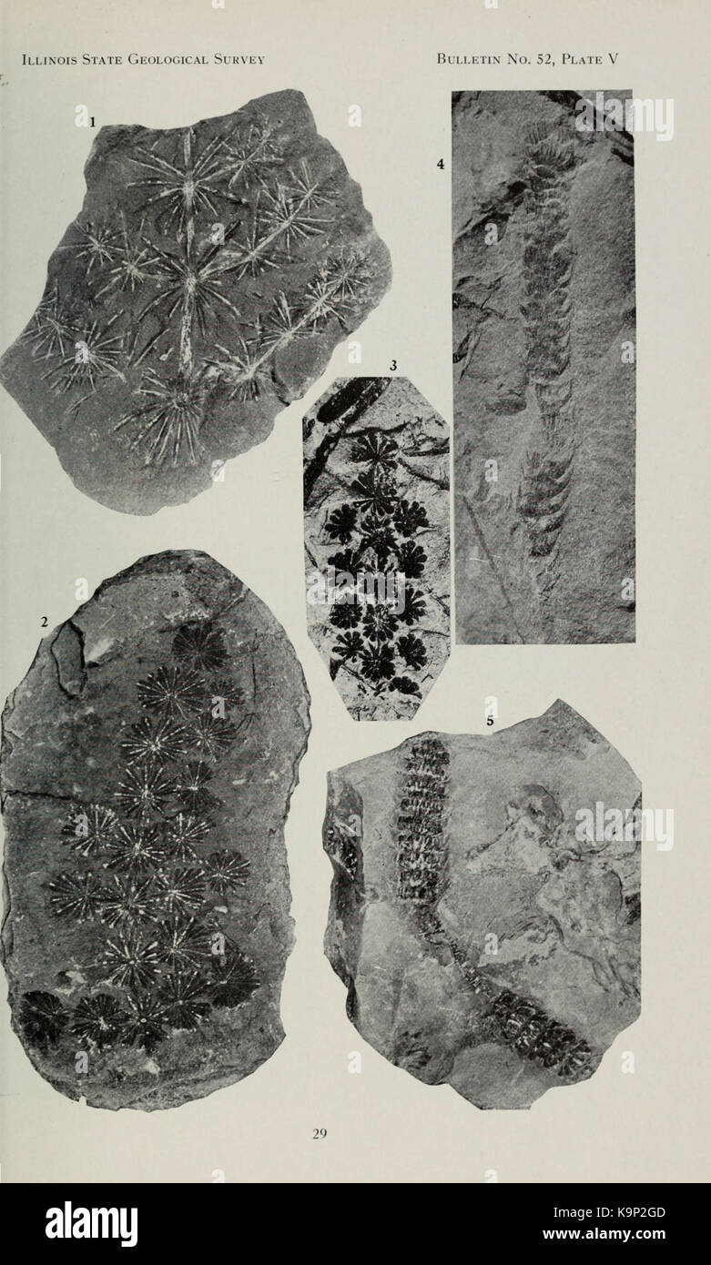 Flora illinois map hi-res stock photography and images - Alamy