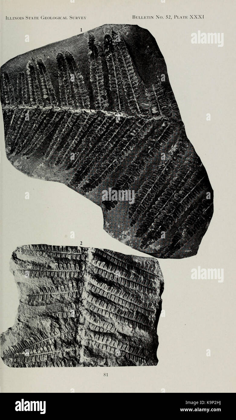 Flora illinois map hi-res stock photography and images - Alamy