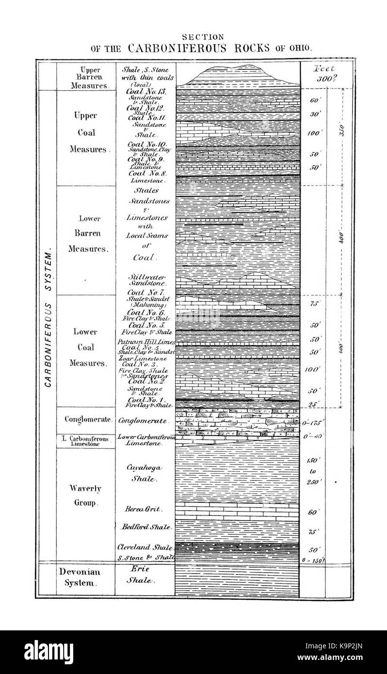 Environmental impact report Cut Out Stock Images & Pictures - Alamy