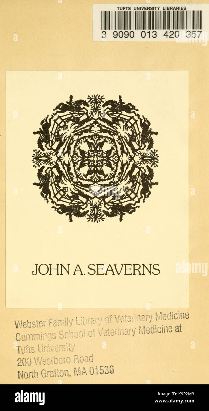 Real life in Ireland BHL19251662 Stock Photo - Alamy