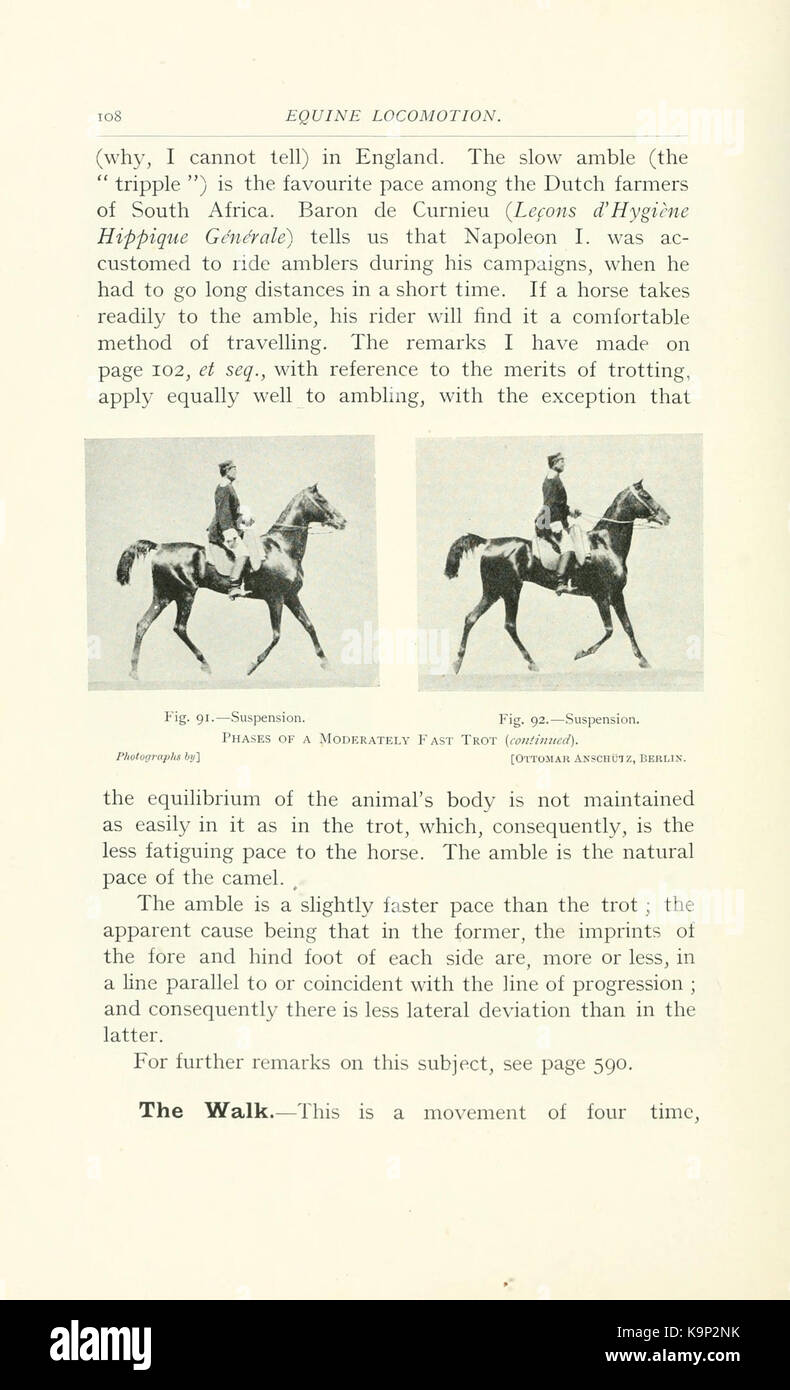 Points of the horse (Page 108) BHL9406662 Stock Photo - Alamy