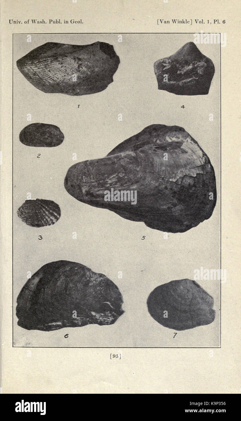 Map of chehalis hi-res stock photography and images - Alamy