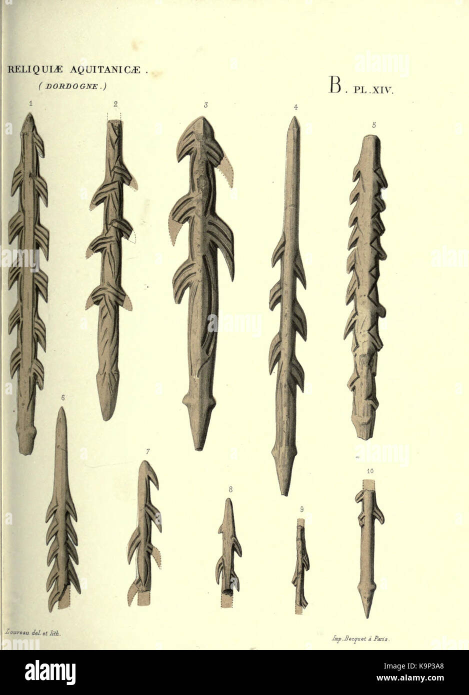 Reliquiae aquitanicae BHL20495750 Stock Photo - Alamy