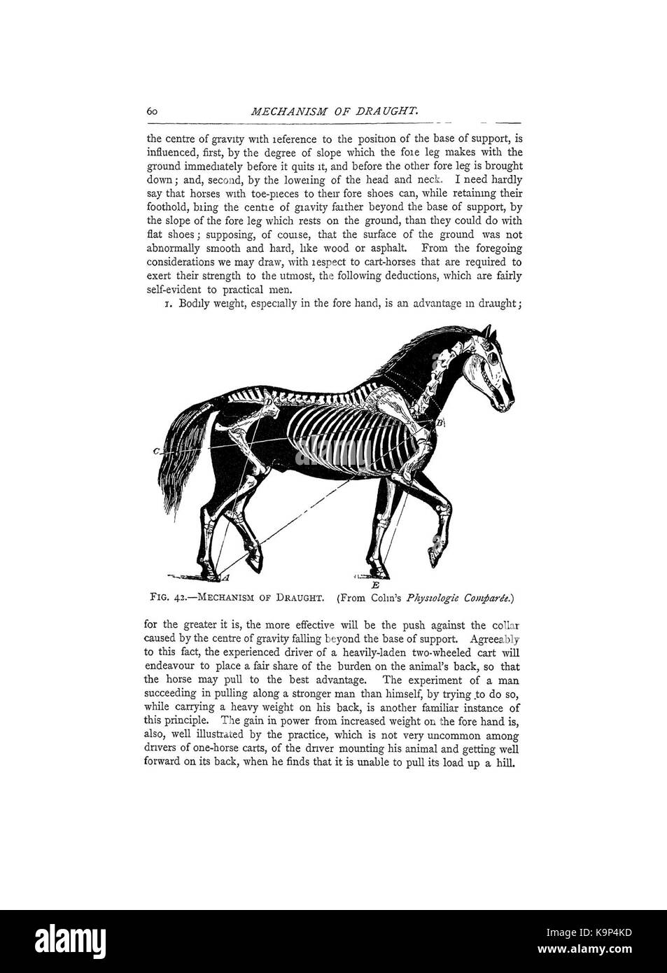 19th century horse art Cut Out Stock Images & Pictures - Alamy