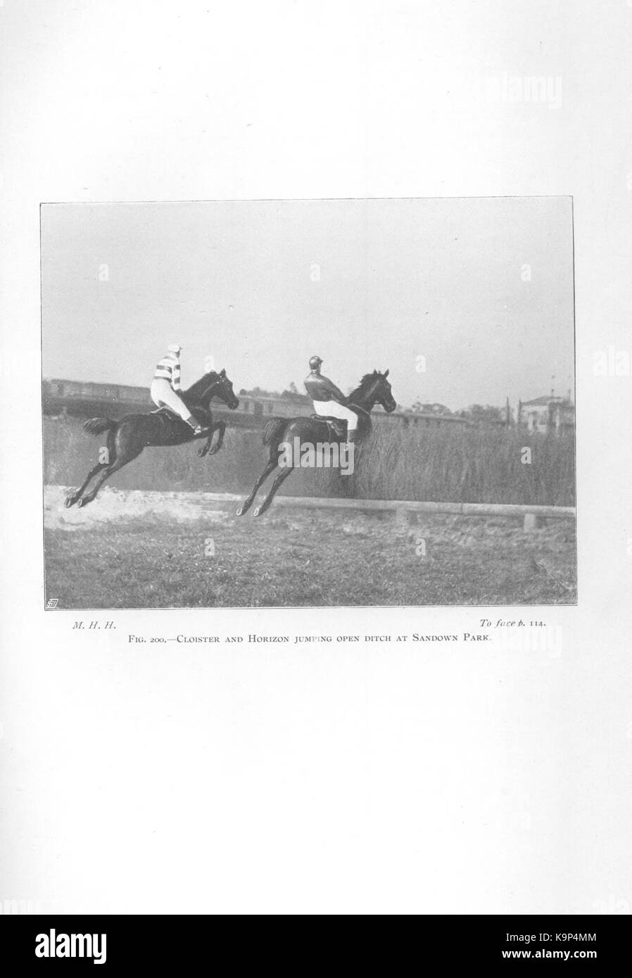 Psychology training horse Black and White Stock Photos & Images - Alamy