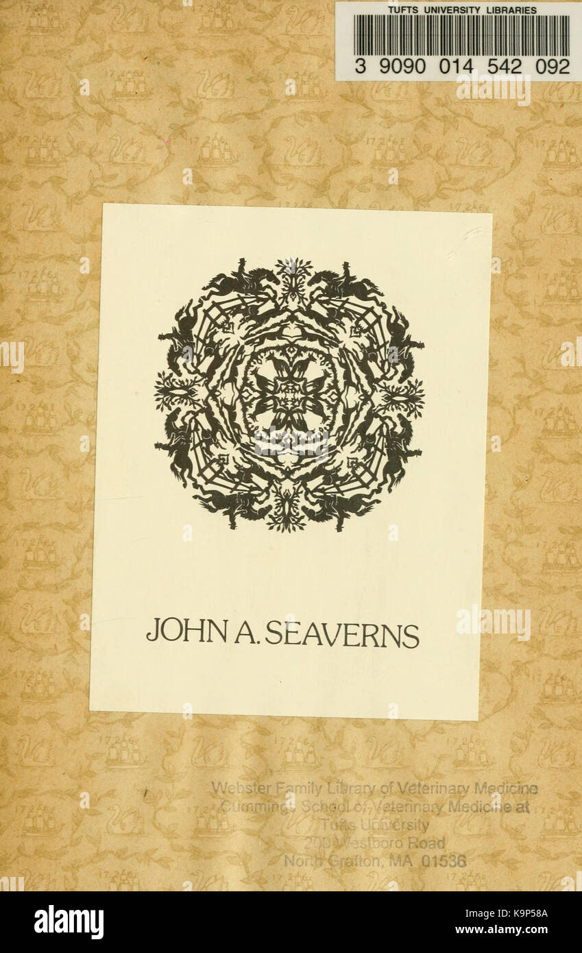 Steeplechasing horse racing hi-res stock photography and images - Alamy