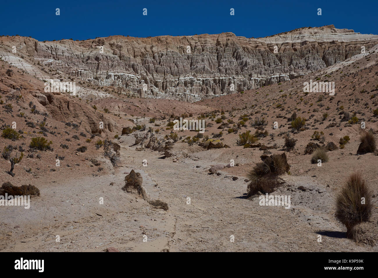 Eroded rock formations along Quebrada Chuba, a river valley high on the ...