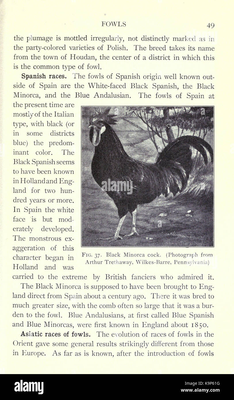 This page from 'Our Domestic Birds' explores various species of ...
