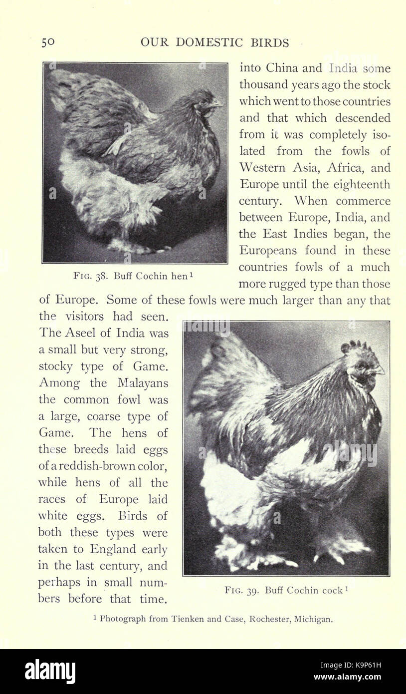 This page focuses on the study of domestic birds, offering a detailed ...
