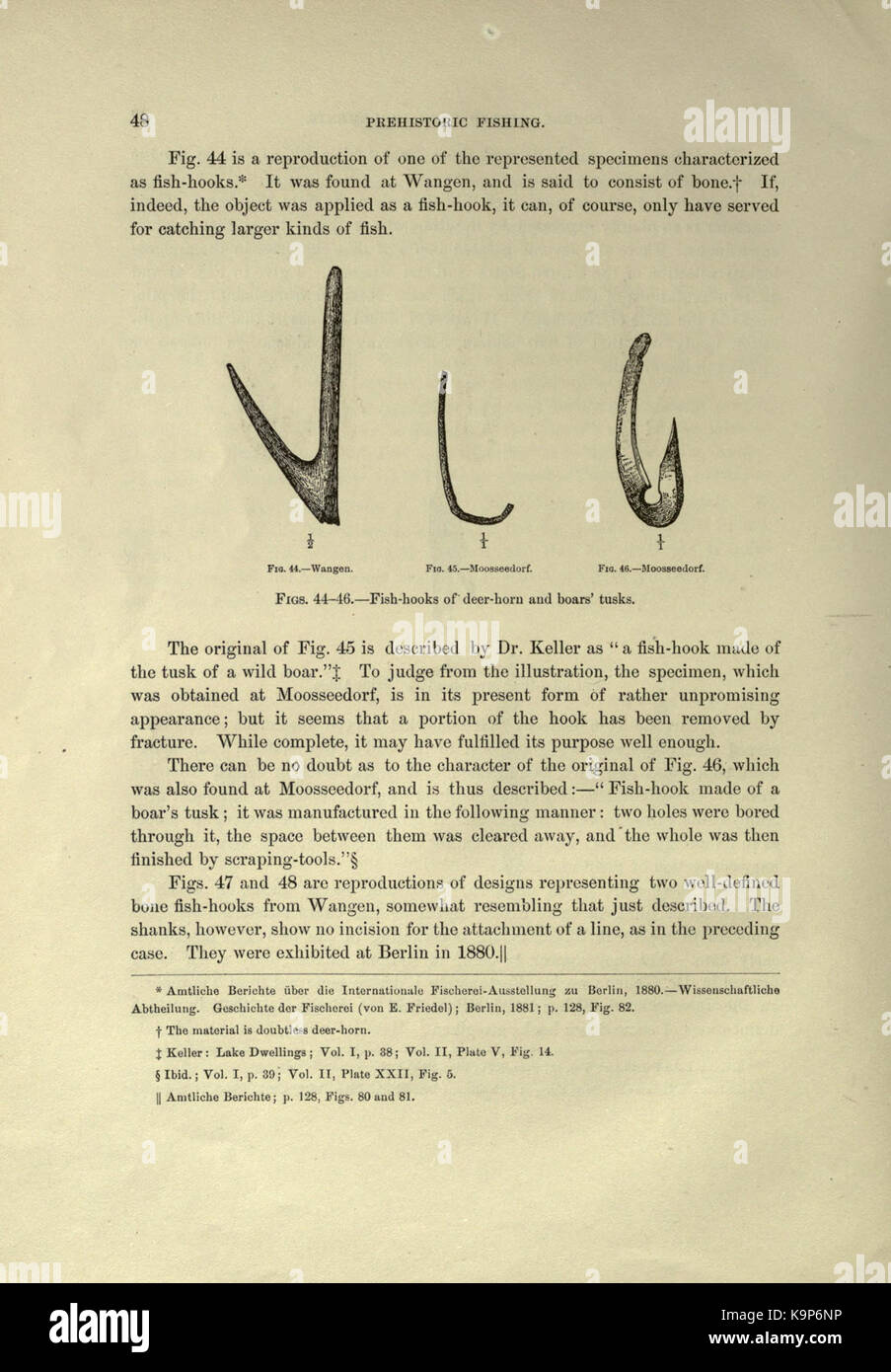Prehistoric fishing in Europe and North America (Page 48) BHL22707661 ...