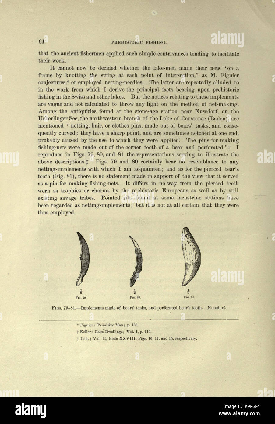 Prehistoric fishing in Europe and North America (Page 64) BHL22707677 ...