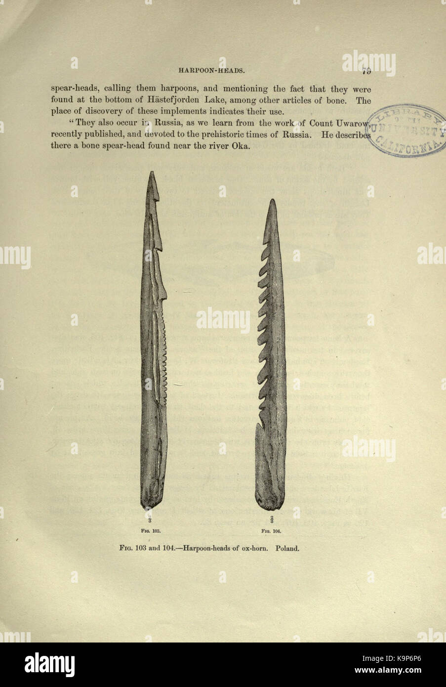 Prehistoric fishing in Europe and North America (Page 79) BHL22707692 ...