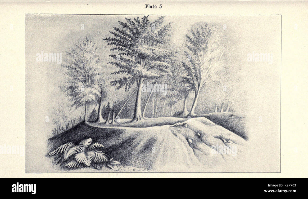 Perch lake mounds, with notes on other New York mounds, and some ...