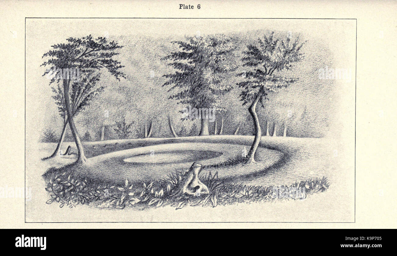 Perch lake mounds, with notes on other New York mounds, and some ...