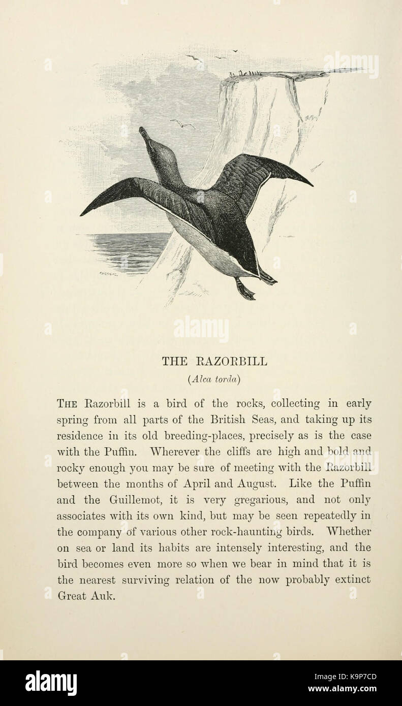 Rarer hi-res stock photography and images - Alamy