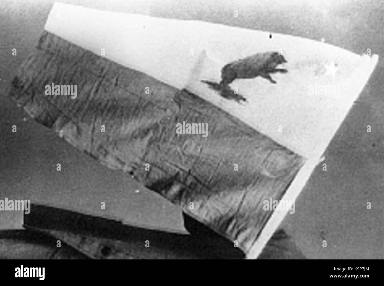 Storm bear flag hi-res stock photography and images - Alamy