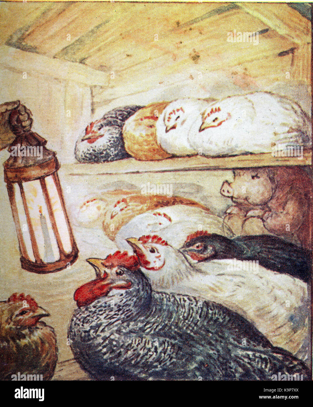 Pigling Bland pg 43 Stock Photo - Alamy