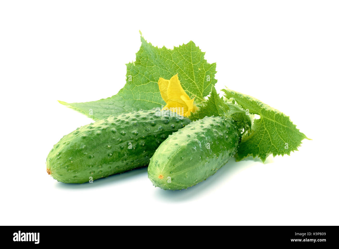 Pimple macro closeup on Cut Out Stock Images & Pictures - Alamy