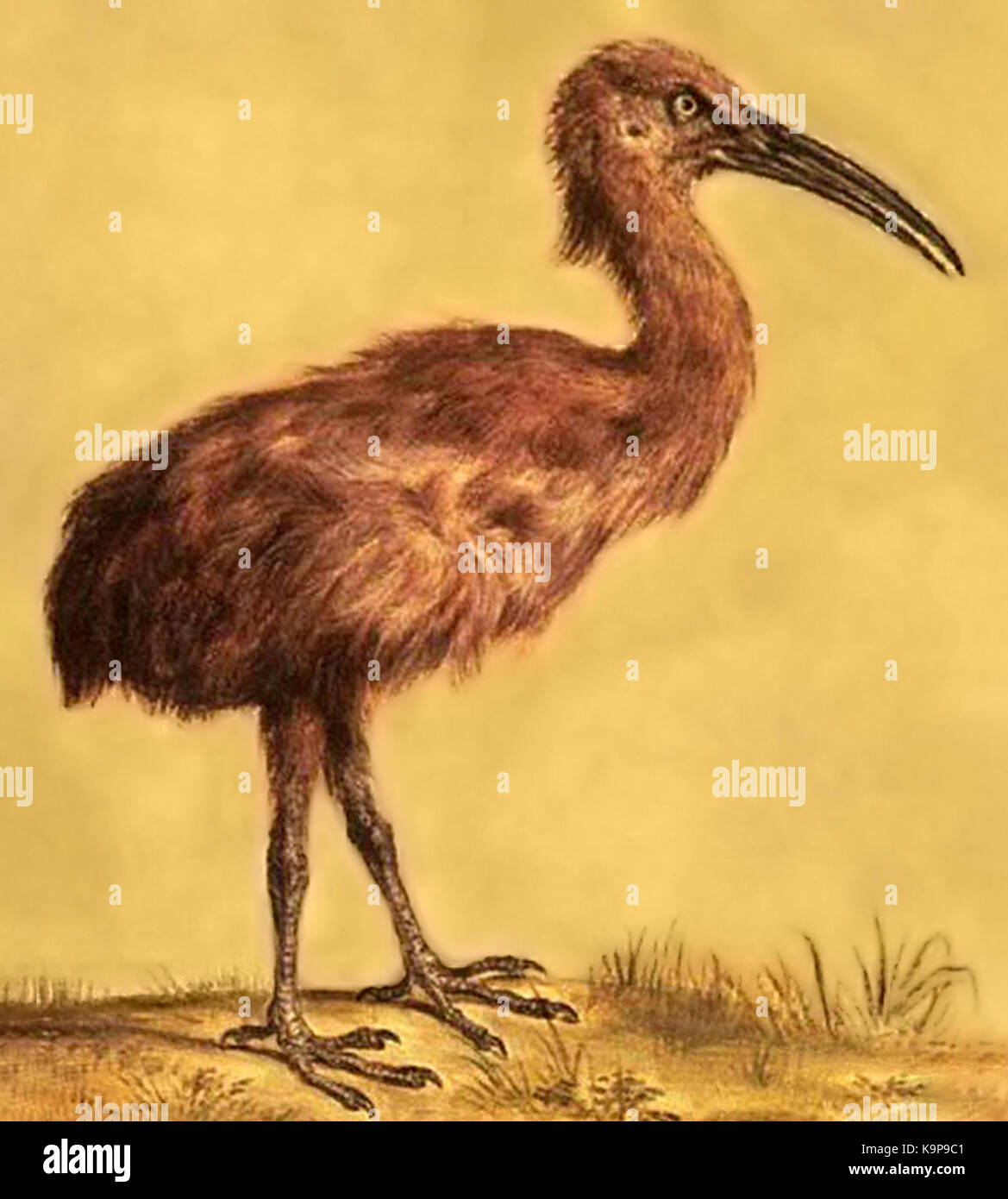 Red rail hi-res stock photography and images - Alamy