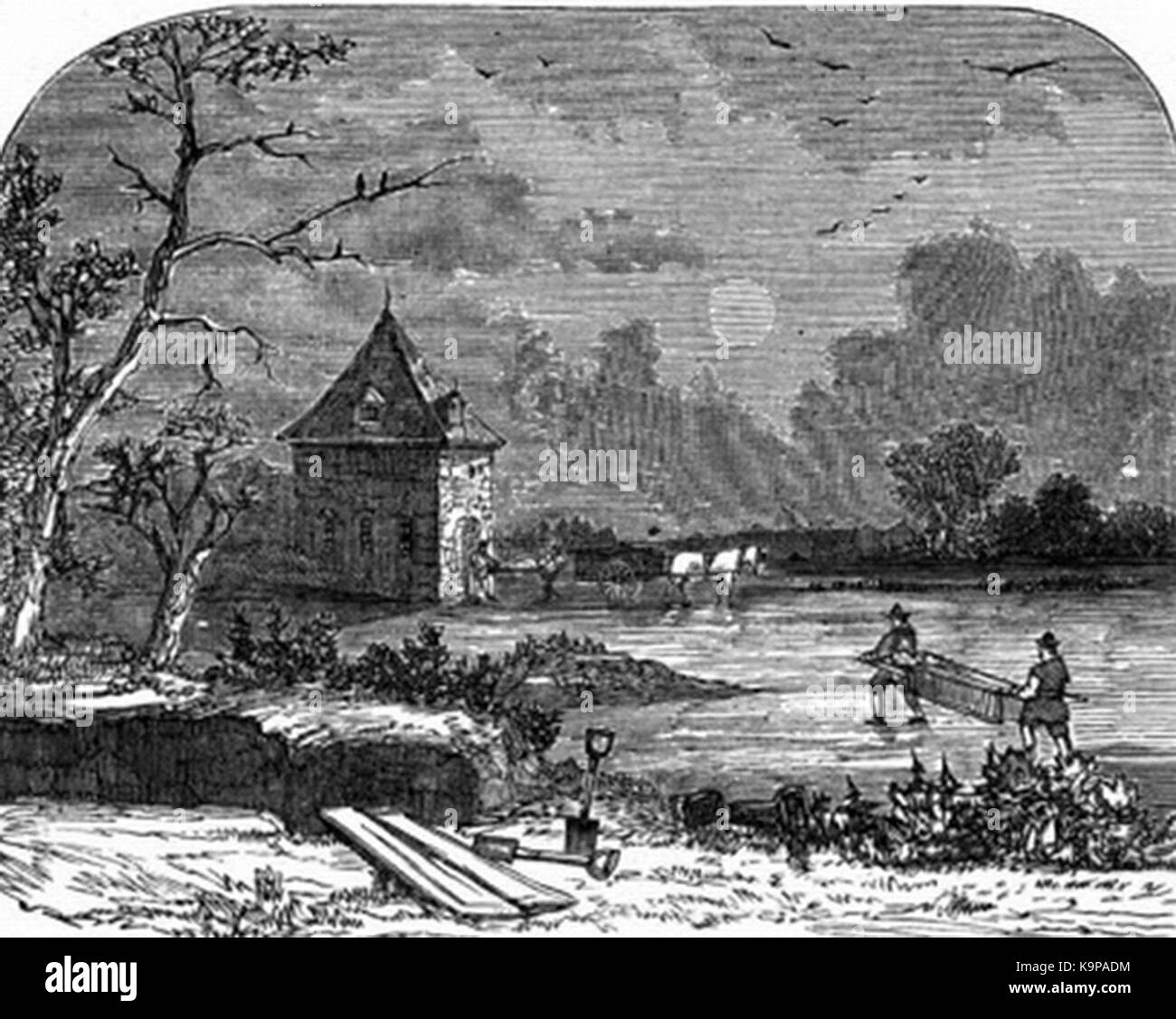 Pest outbreaks Black and White Stock Photos & Images - Alamy