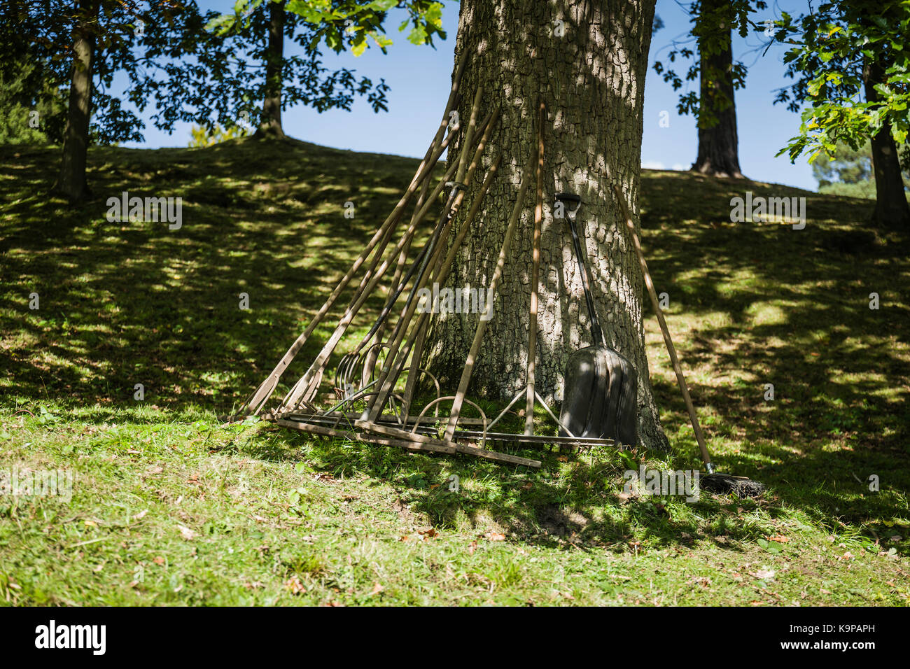 Traditional garden tools Stock Photo - Alamy