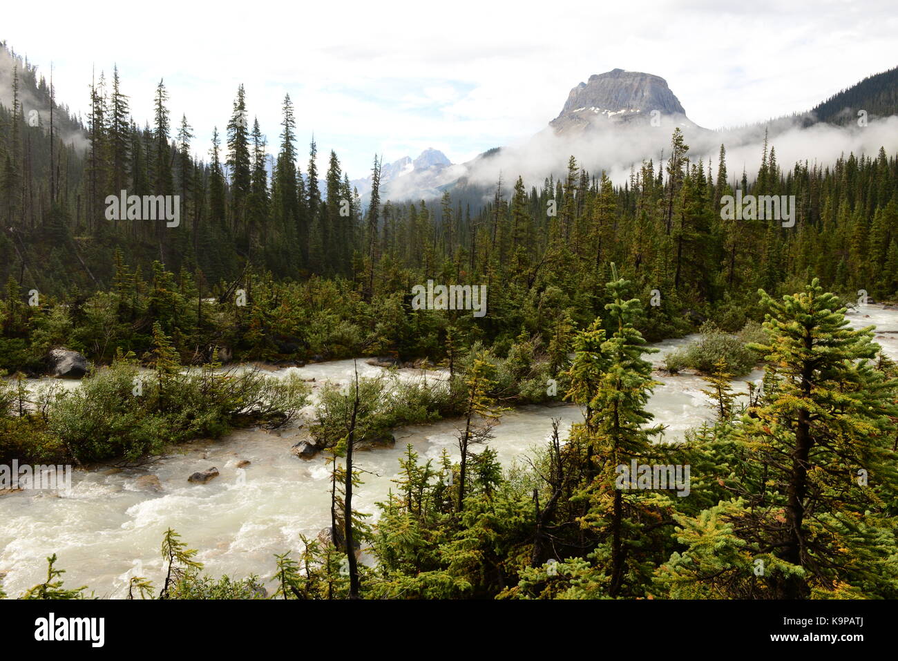 Yoho pass trail hi-res stock photography and images - Alamy
