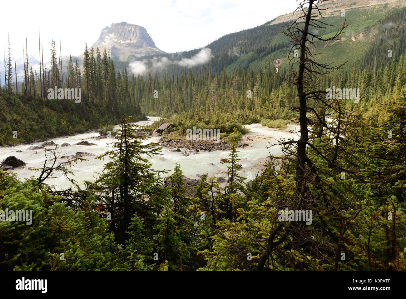Yoho pass trail hi-res stock photography and images - Alamy