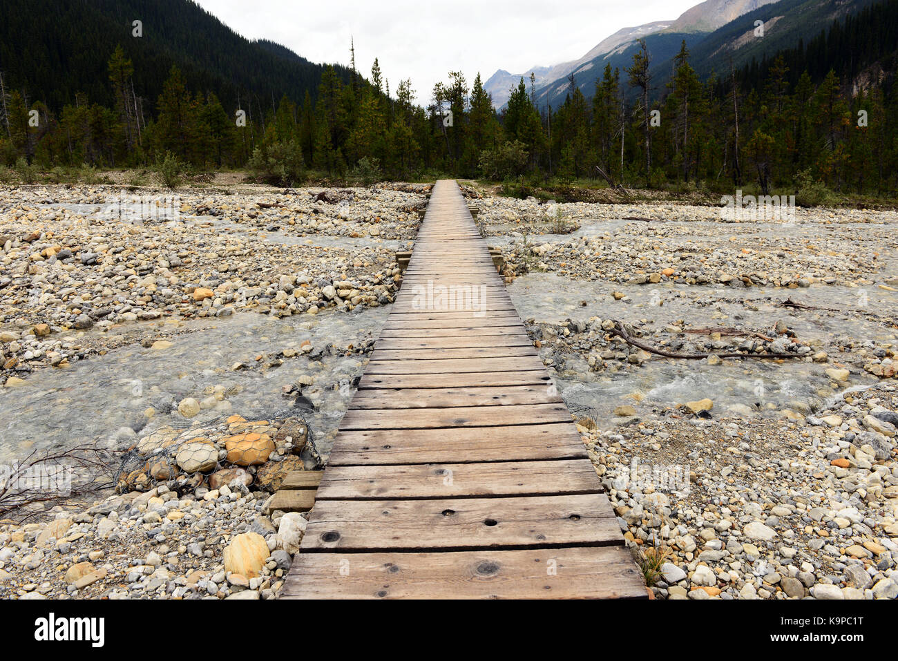 Yoho pass trail hi-res stock photography and images - Alamy
