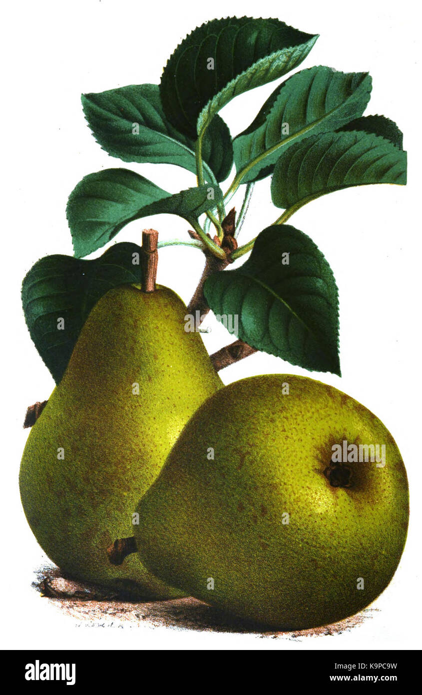 Madame treyve hi-res stock photography and images - Alamy