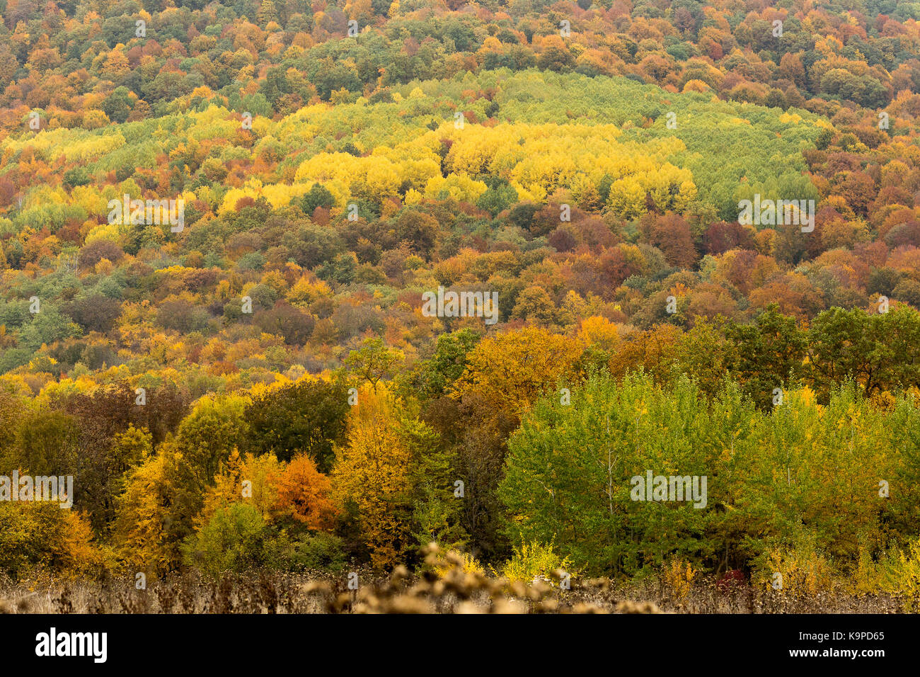 freedom, environment, freedom concept. amazing top view on the ...
